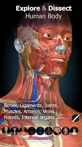 Anatomy Learning - 3D Anatomy App – Features, Download & Overview | Appopts